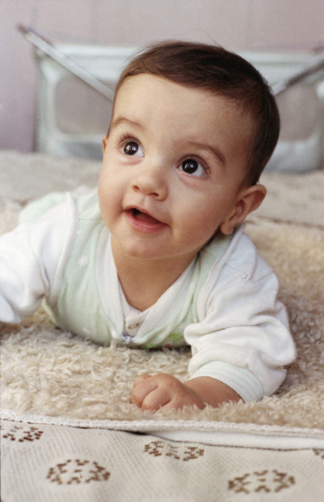 6 Amazing Facts You Need To Know About Infant Nutrition – Natural Mothering 6 Amazing Facts You Need To Know About Infant Nutrition – Natural Mothering